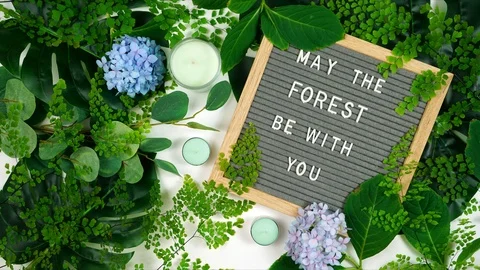 Letter Of Prox Stock Videos – Royalty-Free HD & 4K Videos