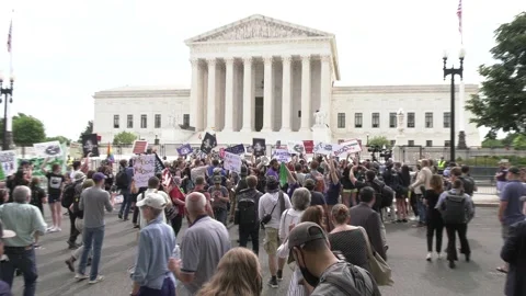 Life After Life Stock Videos – Royalty-Free HD & 4K Videos