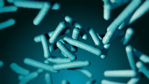 Probiotic lactobacilli under microscope. | Stock Video | Pond5