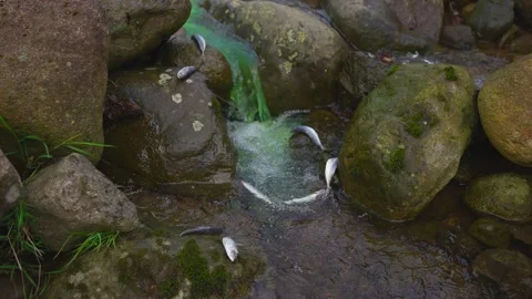 problems of water purification industria... | Stock Video | Pond5