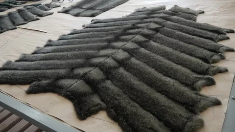 The process of creating a fur coat: sewi... | Stock Video | Pond5