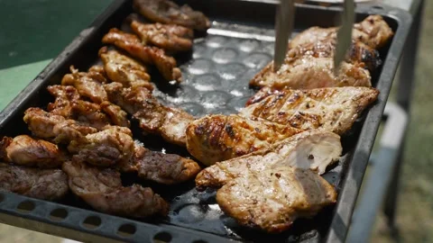 The process of decomposition of finished... | Stock Video | Pond5