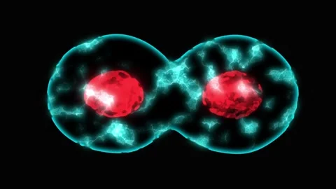 Process division of cell animation video... | Stock Video | Pond5