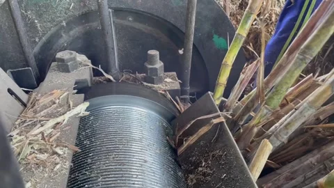 The process of grinding sugar cane into ... | Stock Video | Pond5
