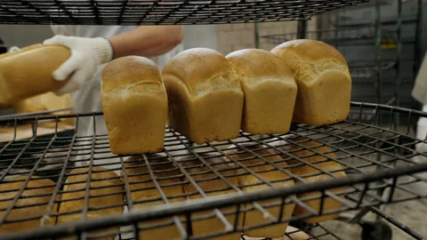 The process of making bread in a factory... | Stock Video | Pond5