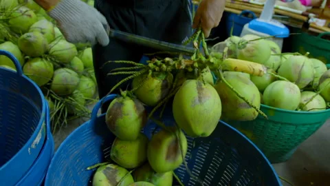 The process of making Coco Jelly, a famo... | Stock Video | Pond5
