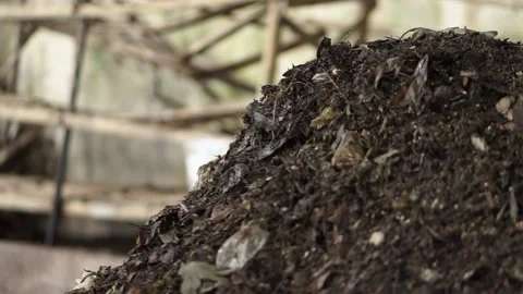 The process of making compost from vario... | Stock Video | Pond5