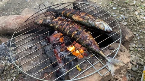 Process of making Ikan Bakar. Ikan Bakar... | Stock Video | Pond5