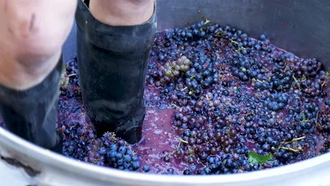 Process of Making Organic Red Wine Craft... | Stock Video | Pond5