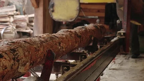 The process of processing wood at a sawm... | Stock Video | Pond5