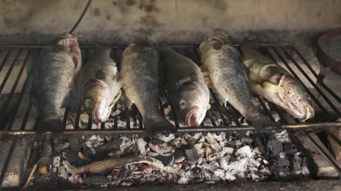 Process of roasting fish on the grill | Stock Video | Pond5