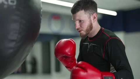 Process of training a male boxer, slow m... | Stock Video | Pond5
