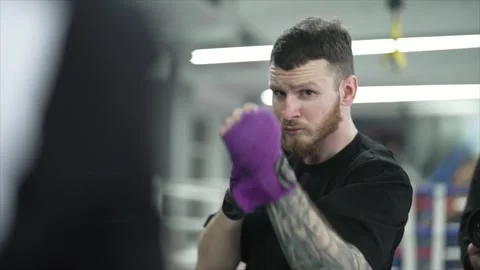 Process of training a male boxer, slow m... | Stock Video | Pond5