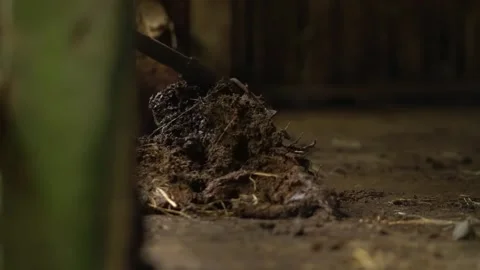 Processing of cow dung to become biogas ... | Stock Video | Pond5