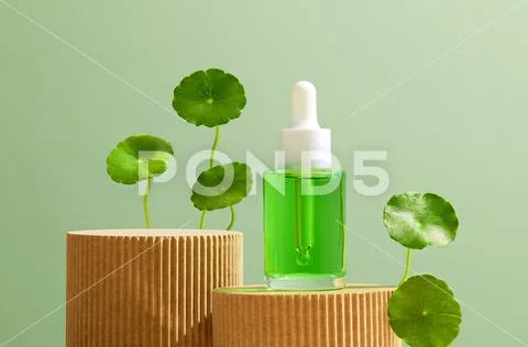 Photograph: Product display podium with centella leaves on green ...