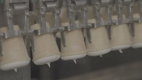 production of ice cream in cups on a con... | Stock Video | Pond5