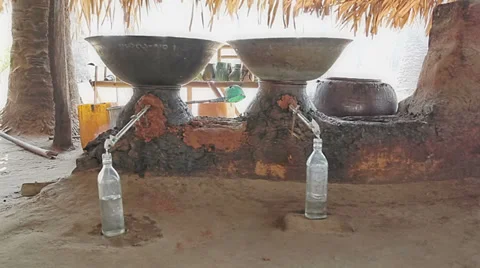 Brandy and Ashia Stock Videos – Royalty-Free HD & 4K Videos | Pond5