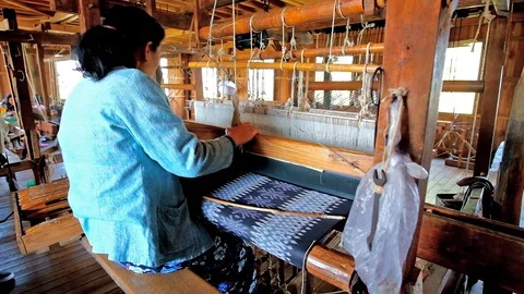 Lotus Production Stock Videos – Royalty-Free HD & 4K Videos