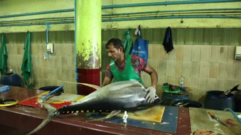 A professional man cleaning big tuna fis... | Stock Video | Pond5