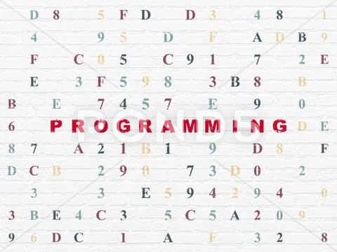 Programming concept: Programming on wall background: Royalty Free #60055226