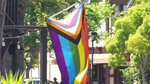 Progress Pride Flag waving in the wind | Stock Video | Pond5