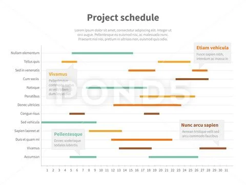 Project plan schedule chart with timeline, gantt progress vector graph ...