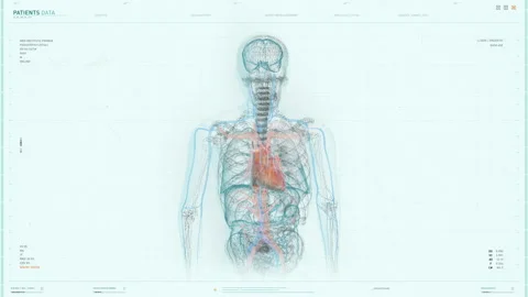 Projection From Stock Videos – Royalty-Free HD & 4K Videos | Pond5