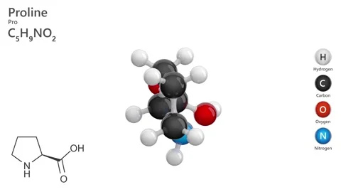 3D Pro Model Stock Videos – Royalty-Free HD & 4K Videos