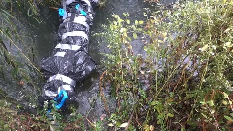 Prop dead body in a swamp area | Stock Video | Pond5