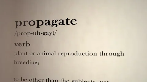 Distribute Scattering Stock Videos – Royalty-Free HD & 4K Videos