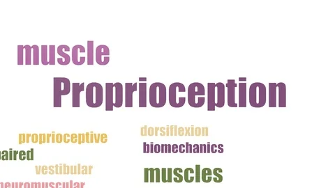 Proprioception Word Cloud Animated On Wh... | Stock Video | Pond5