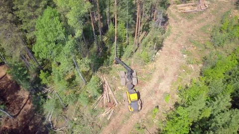 S Log 3 Stock Video Footage | Royalty Free S Log 3 Videos | Pond5