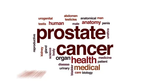 Prostate Gland Stock Footage ~ Royalty Free Stock Videos | Pond5