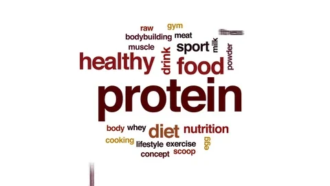 Protein animated word cloud, text design... | Stock Video | Pond5