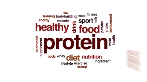 Protein animated word cloud, text design... | Stock Video | Pond5