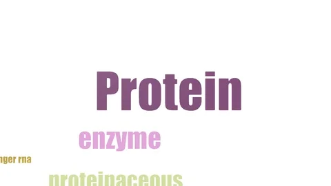 Protein Word Cloud Animated On White Bac... | Stock Video | Pond5