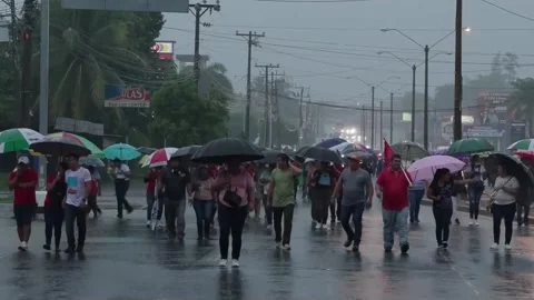 As Oppose To Stock Videos – Royalty-Free HD & 4K Videos