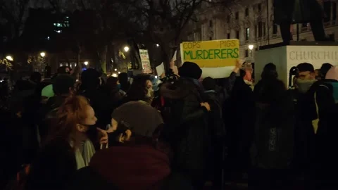 Police Pigs Stock Videos – Royalty-Free HD & 4K Videos | Pond5