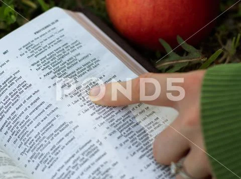 Proverbs open Holy Bible Book woman hand Scriptures Old Testament Word ...