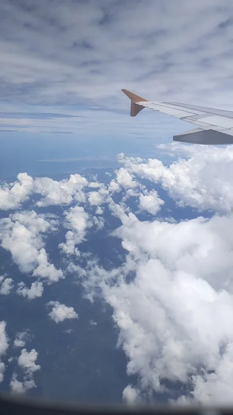 So Over W Stock Videos – Royalty-Free HD & 4K Videos