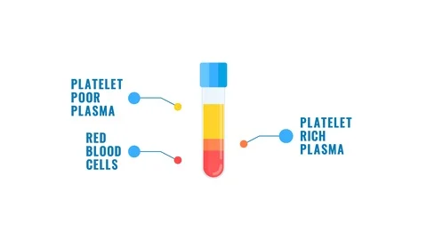 PRP blood structure infographics animati... | Stock Video | Pond5