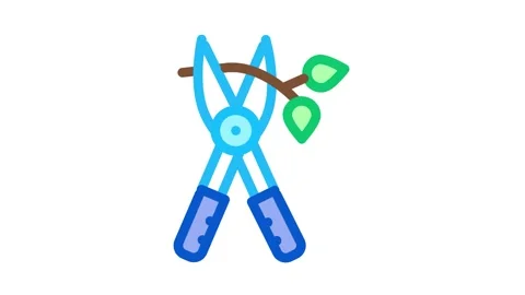 Shears Icon Stock Videos – Royalty-Free HD & 4K Videos | Pond5