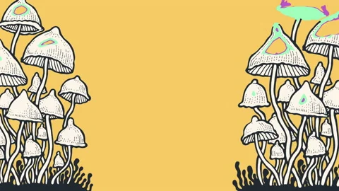Mushroom Design Stock Videos – Royalty-Free HD & 4K Videos | Pond5