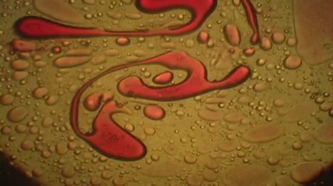 Liquid Light Show Stock Videos – Royalty-Free HD & 4K Videos | Pond5