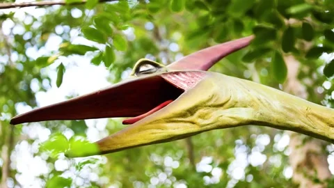 Pteranodon Animatronic in Lush Forest Se... | Stock Video | Pond5