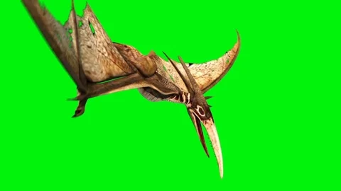 Pteranodon Dinosaurs Fly Attacks Dies Gr... | Stock Video | Pond5