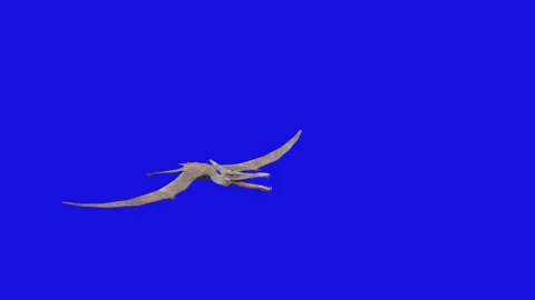 Pterodactyl dinosaur flying looped 3d an... | Stock Video | Pond5