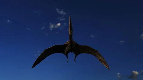 Extinct Flying Reptiles Stock Videos – Royalty-Free HD & 4K Videos | Pond5