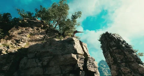 The pterodactyl prepares to hunt. | Stock Video | Pond5