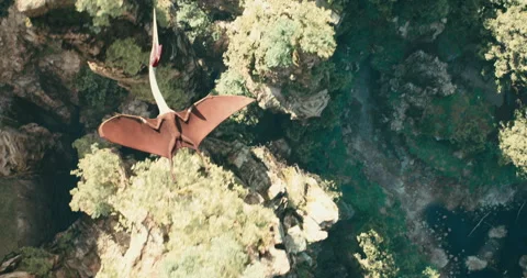 The pterodactyl prepares to hunt. | Stock Video | Pond5